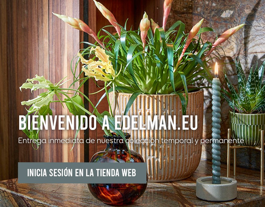 Edelman | Inicio
