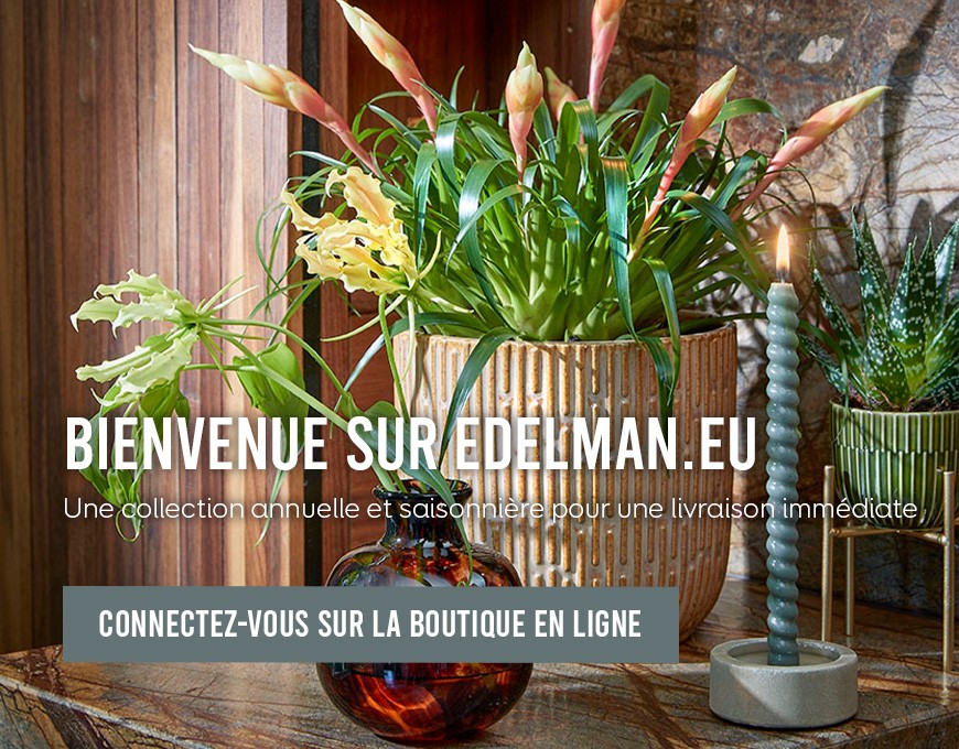 Edelman | Accueil